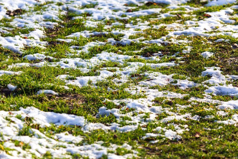 Snow on the Green Grass in Spring Stock Image - Image of nature, winter ...