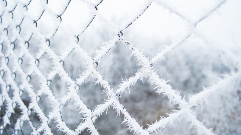 Snow on grid stock photo. Image of fresh, natural, diagonal - 80608944