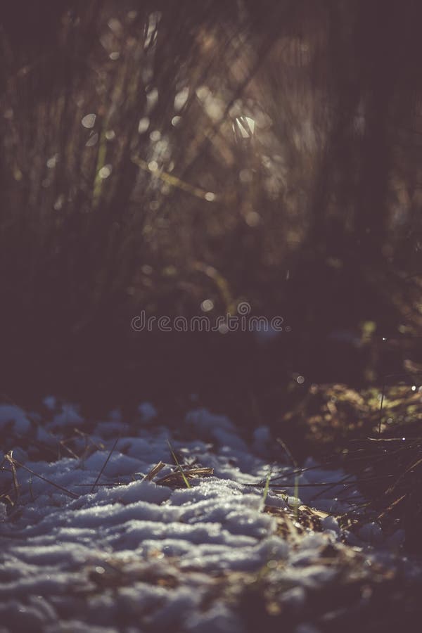 Snow On Ground Picture. Image: 109925571