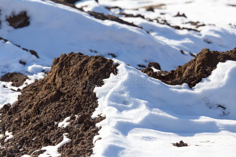 Snow on the ground stock photo. Image of closeup, flake - 106071458