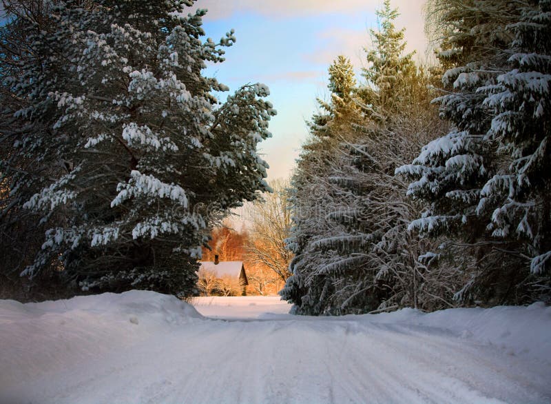 Snow on the Ground, Trees, and Path in the Foreground Stock Photo ...