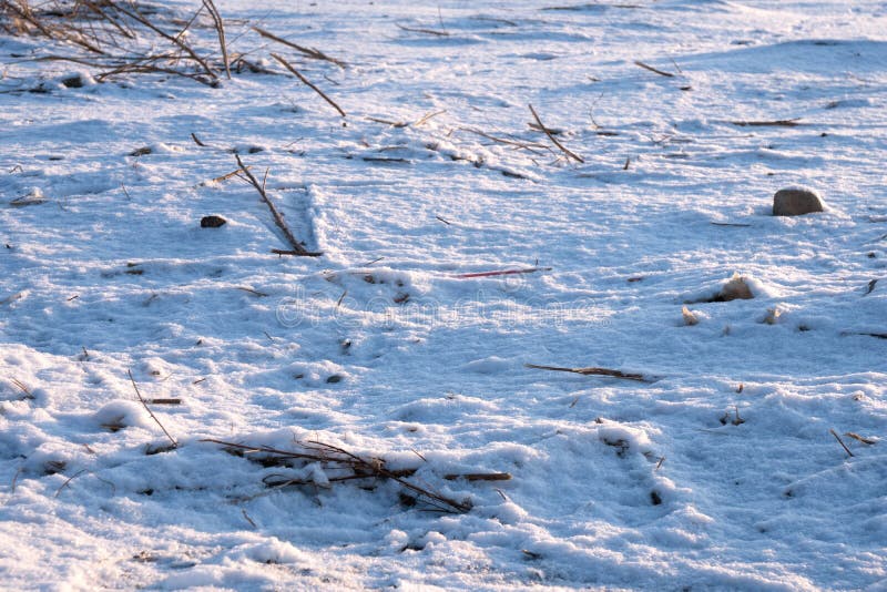 Snow on the Ground in Winter Stock Photo - Image of climate, term ...