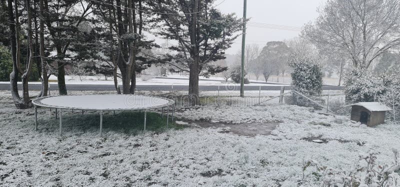 Snow in Guyra Nsw Australia Stock Photo - Image of snow, aust: 234492478