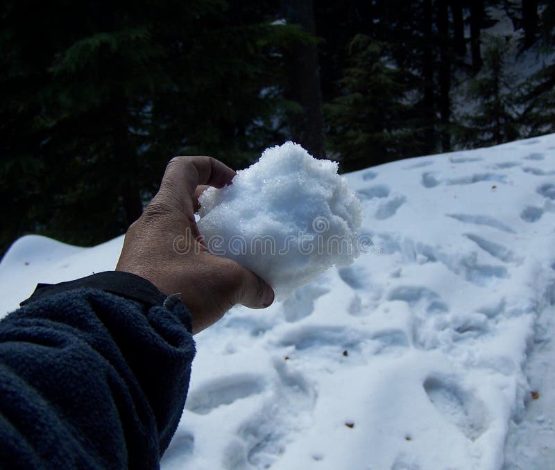 Snow in hand stock image. Image of winter, hold, show, powdery - 62989