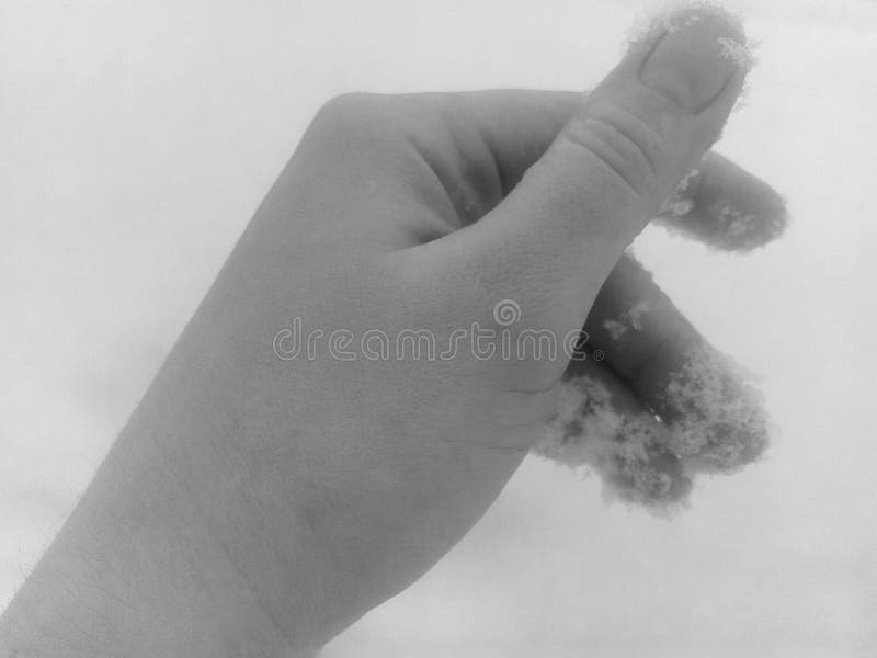Snow, hand, cold stock photo. Image of snow, winter, hand - 81761648