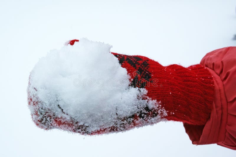 Snow in hand stock photo. Image of snow, cold, winter - 48944018
