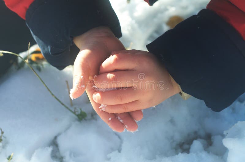 Snow in hands of child stock photo. Image of snow, mittens - 46518764