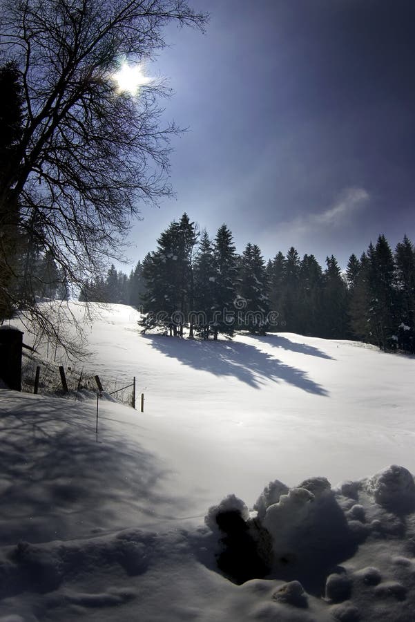 Snow hill stock image. Image of switzerland, relax, forest - 3212665