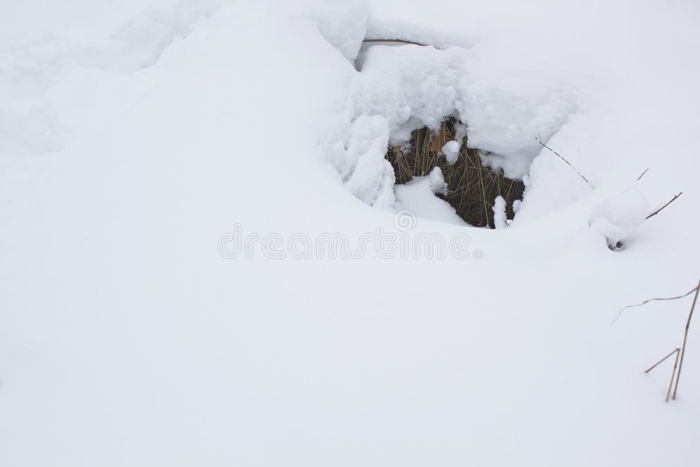 Snow Hole on Dangerous Road after Snowfall Stock Image - Image of deep ...