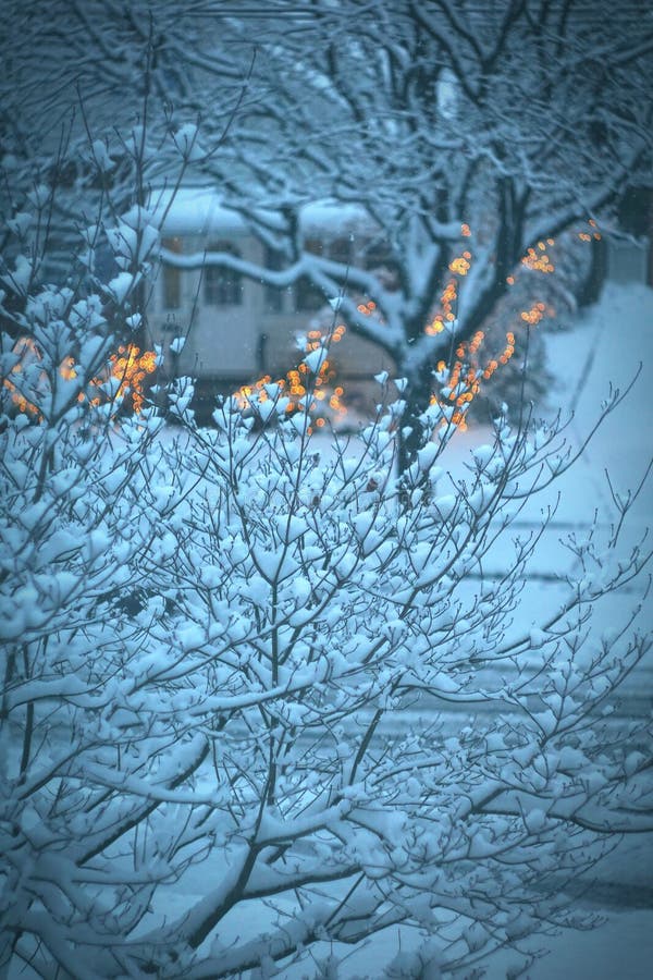 Snow stock image. Image of attractive, lights, blur - 106887579