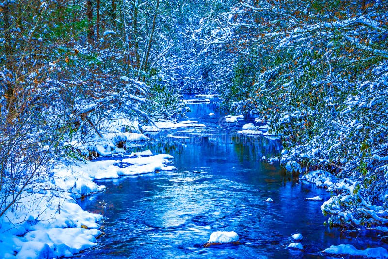 Snow and Ice Covered Mountain Stream Stock Photo - Image of pine, cold ...