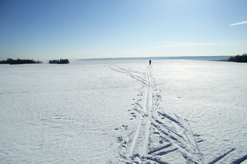 Snow ice crust stock photo. Image of water, tree, snow - 41742142