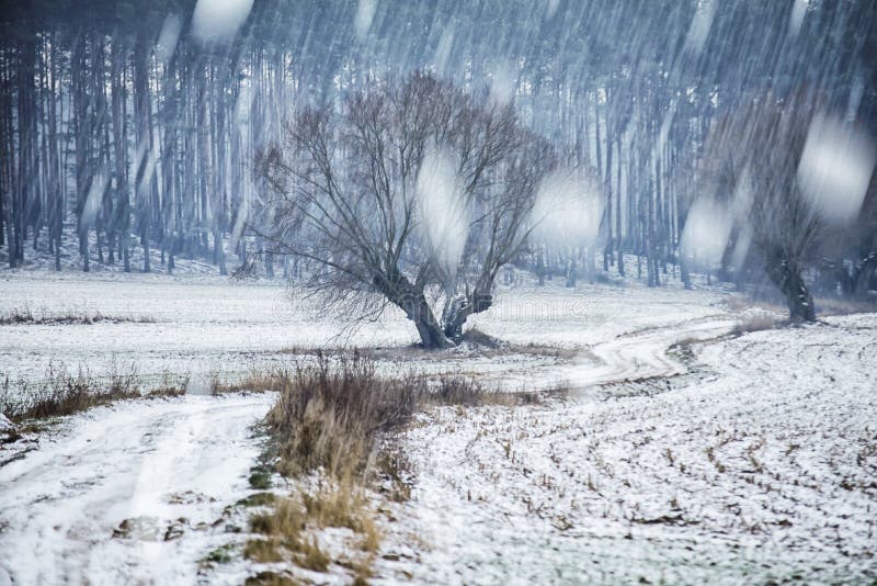 Snow and Ice on the Field, Winter Stock Image - Image of freeze, frost ...