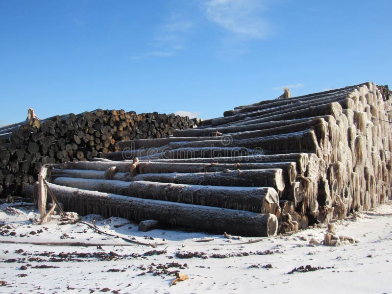 Snow and Ice Frozen on Stack of Trees Stock Photo - Image of sand ...