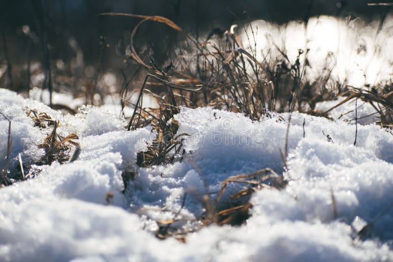 Snow, Ice and Grass, Snow Melts in the Spring Stock Image - Image of ...