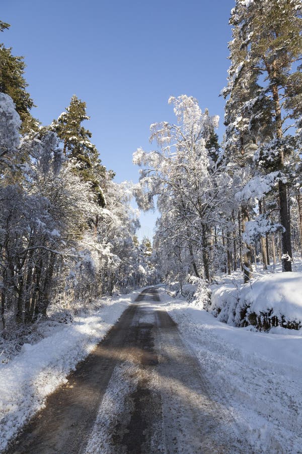 Snow and Ice on Road in Scotland. Stock Image - Image of winter, forest ...