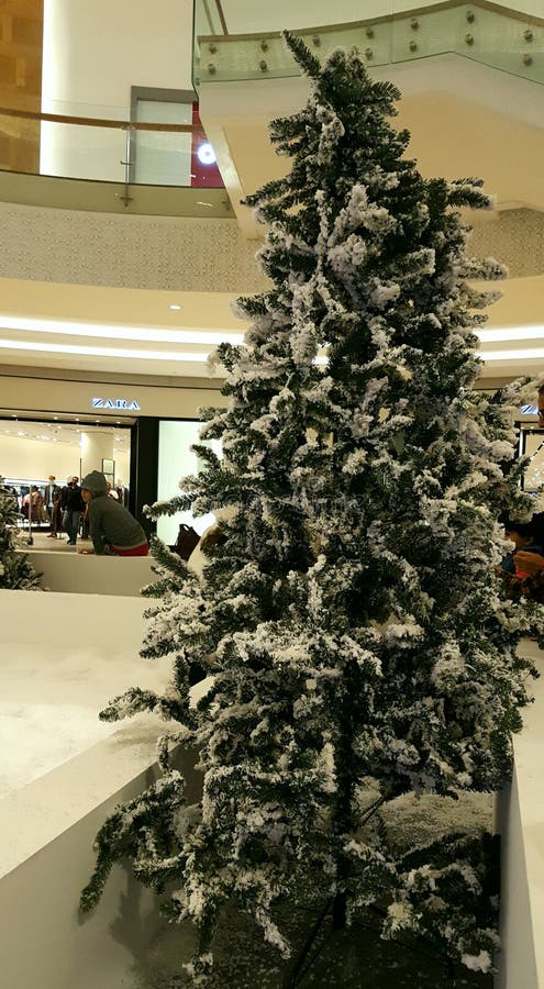 Snow on Indoor Christmas Tree Editorial Stock Photo - Image of tree ...