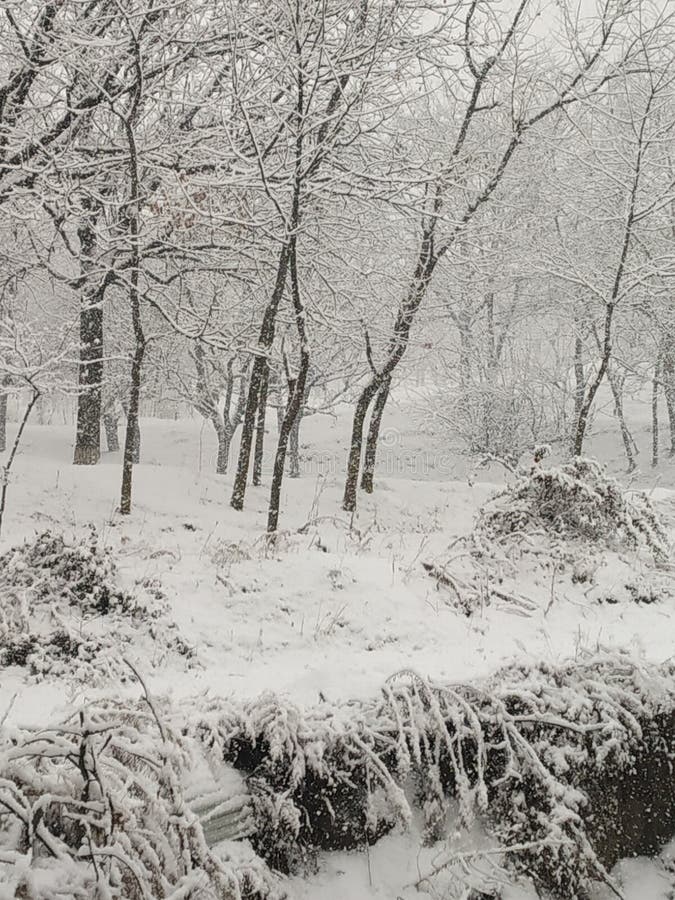 Snow stock photo. Image of kashmir, owsm, snow, kill - 136367952