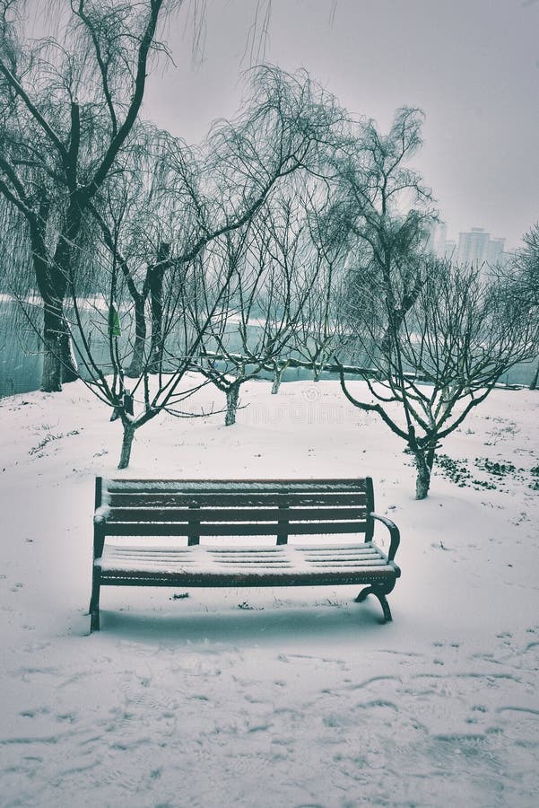 Snow lake stock image. Image of seasonal, bench, trees - 306414327