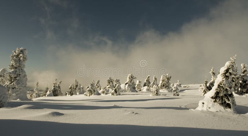 Snow Land Picture. Image: 8080413