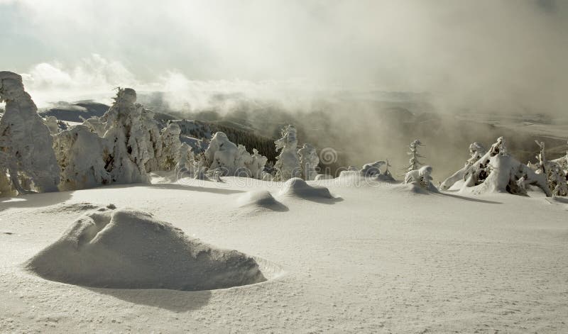 Snow land stock image. Image of trees, blue, winter, mountains - 8120721