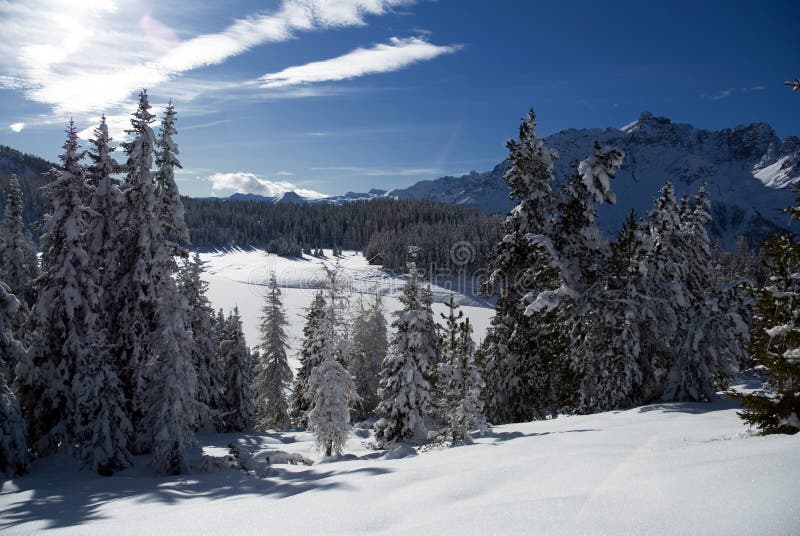 Alpine Winter Snow scene stock photo. Image of solitude - 56360