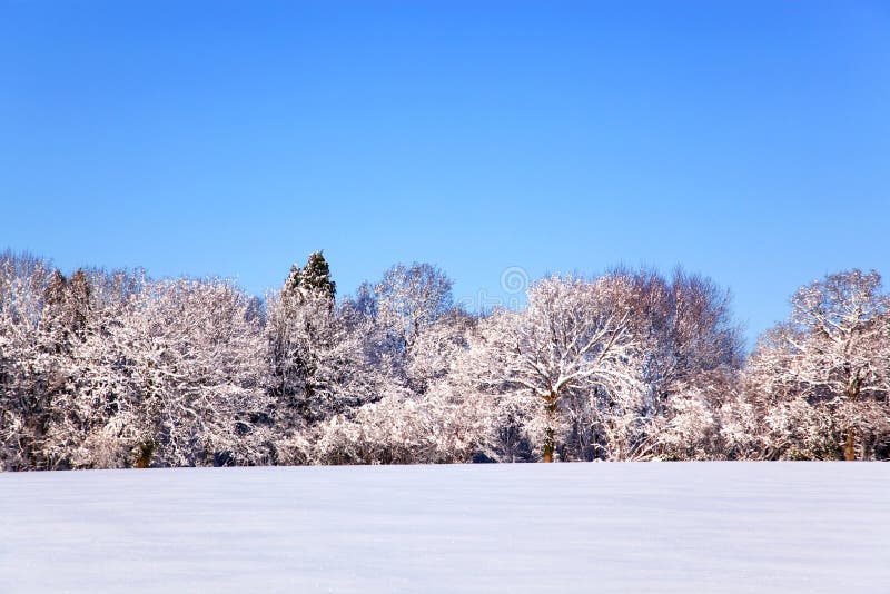 Snow landscape stock photo. Image of cloudless, snow - 16886276