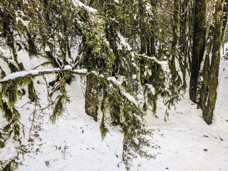 Snow Landscape in Winter Spain Stock Photo - Image of white, nature ...