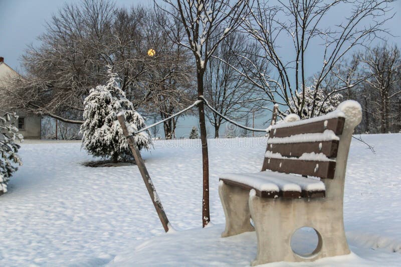 Snow landscaping view stock image. Image of winter, cold - 80908929