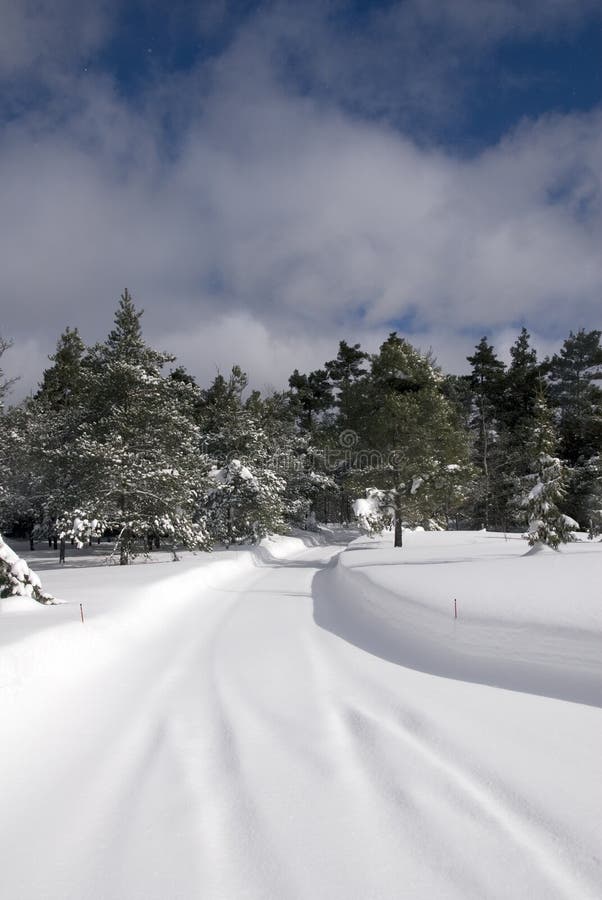 Snow Lane stock photo. Image of christmas, altitude, branch - 2058960