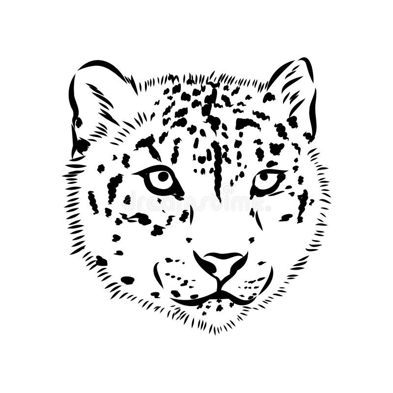 Snow Leopard , Hand Drawn Doodle, Sketch in Pop Art Style, Vector ...
