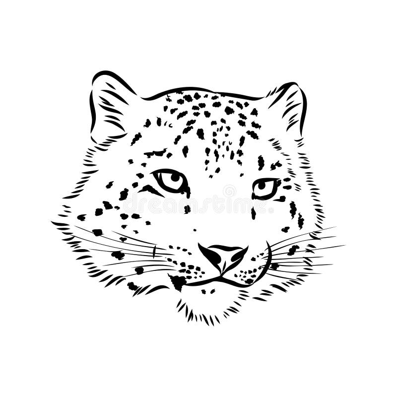 Snow Leopard , Hand Drawn Doodle, Sketch in Pop Art Style, Vector ...