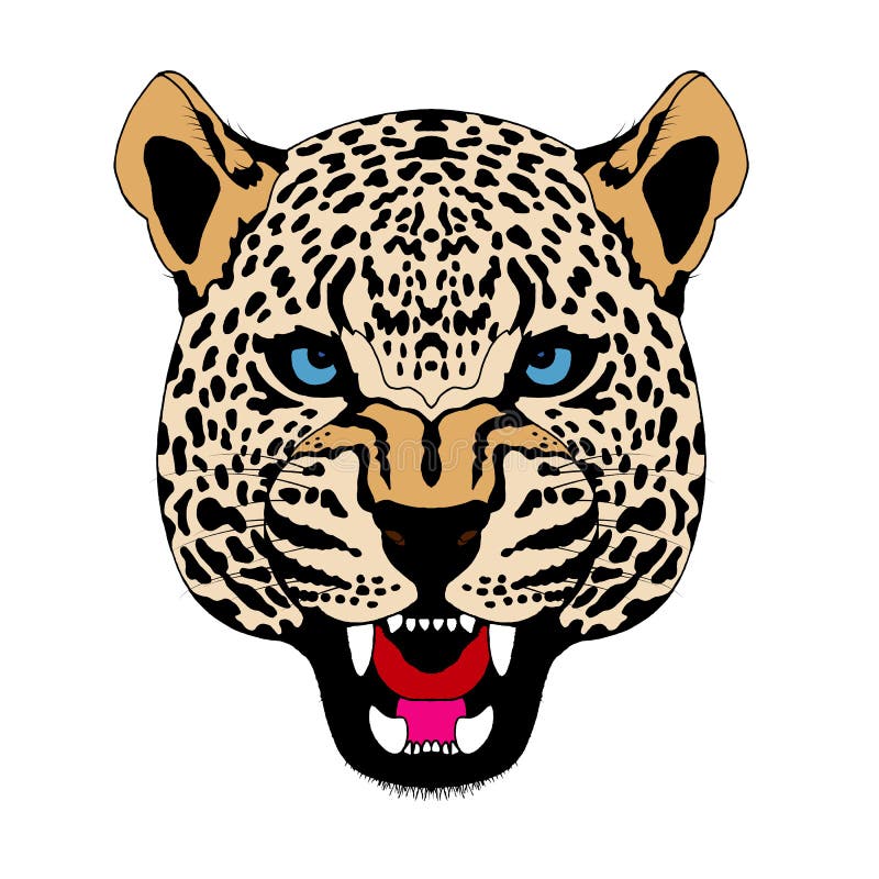 Leopard Front Face Stock Illustrations – 379 Leopard Front Face Stock ...