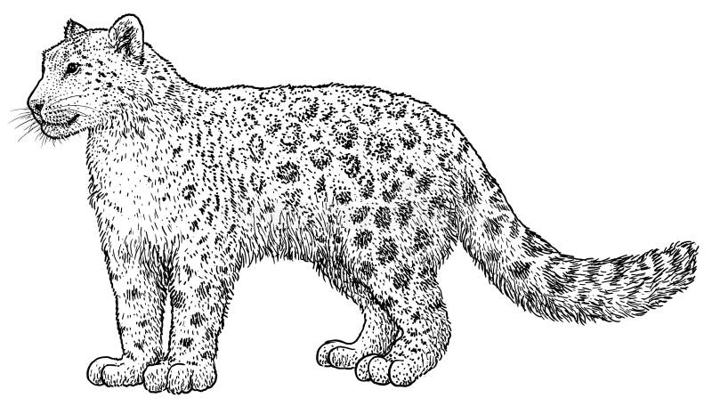 Art Line Snow Stock Illustrations – 50,947 Art Line Snow Stock ...