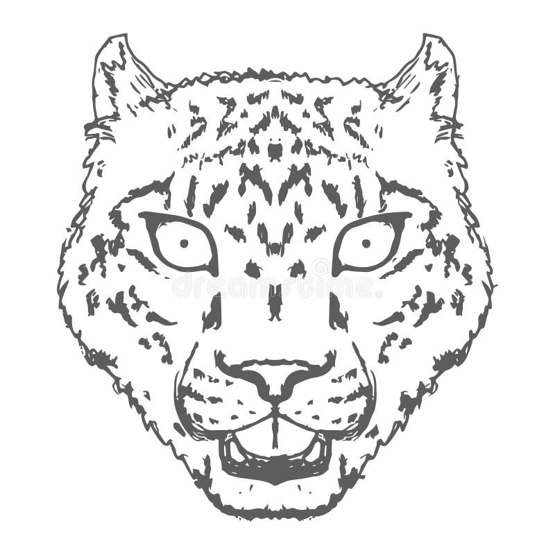 How To Draw A Snow Leopard Face