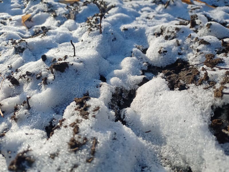 Snow Lies on Black Ground. Snow is Melting Stock Photo - Image of snow ...