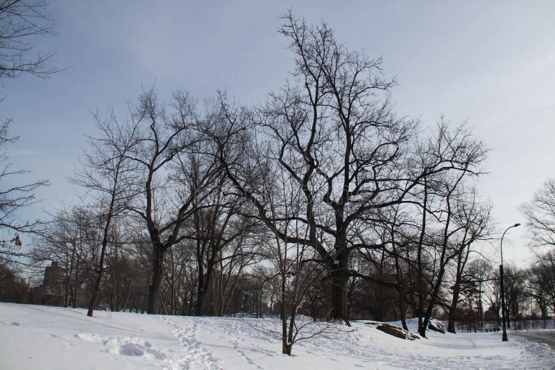 Light Pole and Benches in Front of Buildings with Snow in Winter Stock ...