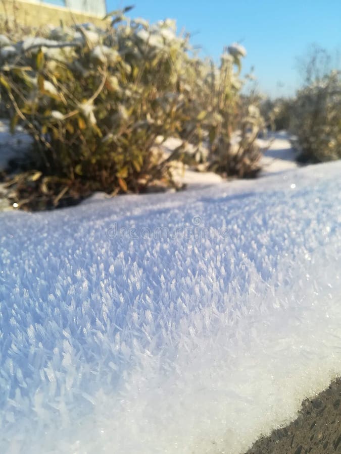 Snow like a fur or needles stock image. Image of like - 214566955