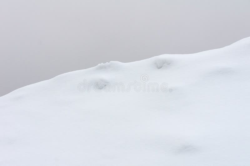 Snow line stock photo. Image of white, outdoors, cold - 18422444