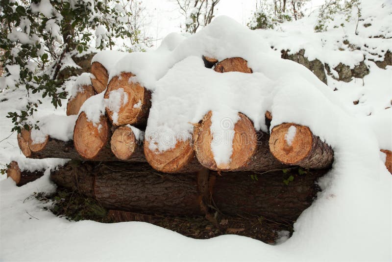 Snow Log Stack Lumber in Winter Stock Image - Image of sawed, logging ...