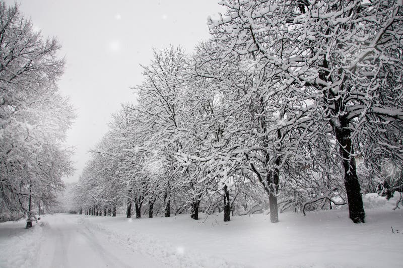 The snow stock image. Image of snow, road, park, horizontal - 33181319
