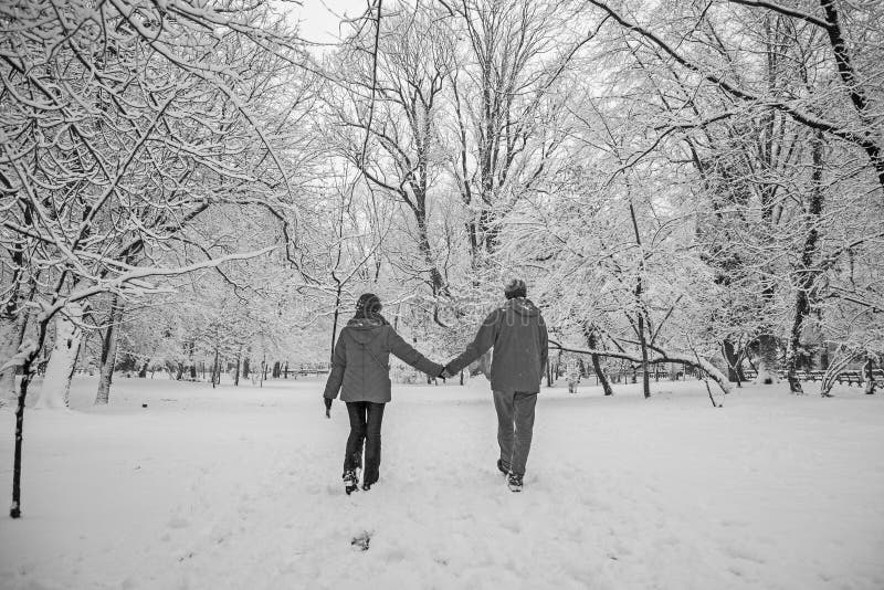 Young Couple Dancing in Snow Stock Image - Image of park, looking: 35141611