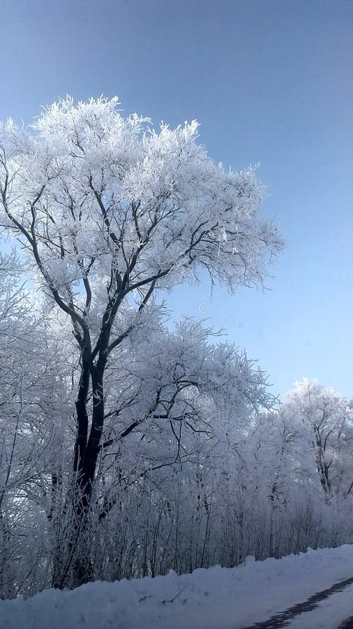 Snow magic stock photo. Image of christmas, portrait - 30954566