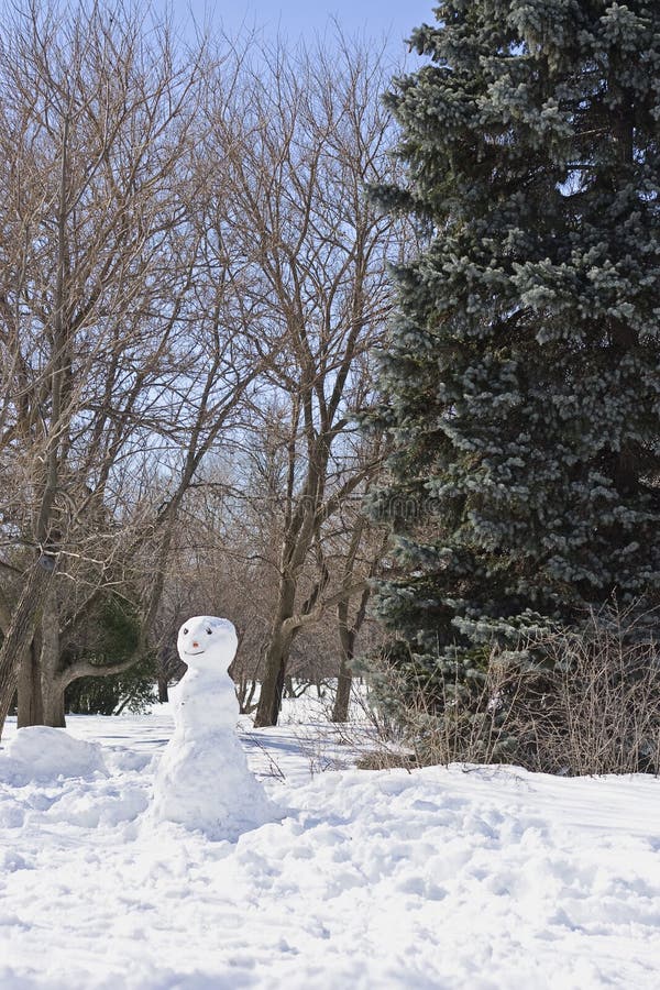 Snow man in the park stock image. Image of scene, frost - 10371703