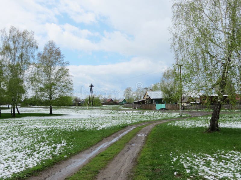 Snow at May stock image. Image of spring, green, blue - 37521173