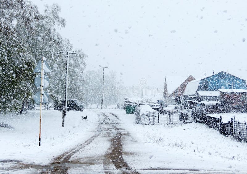 Snow at May stock image. Image of standings, green, garden - 37521337