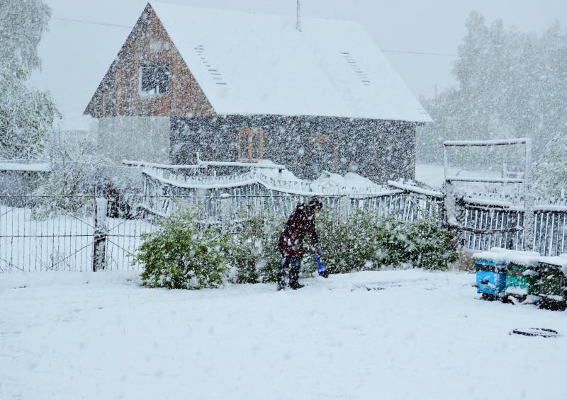 Snow at May stock image. Image of landscapes, falls, nature - 34501219