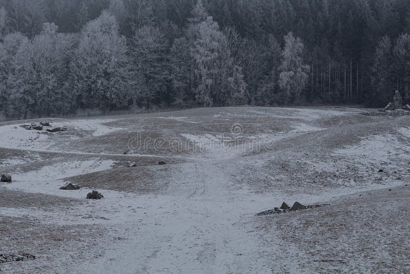 Snow Meadow with Snowy Trees in Landscape Stock Photo - Image of ...