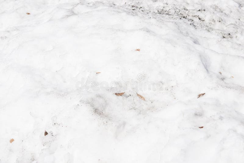 Snow Melt on the Ground in Winter Stock Photo - Image of snow, ground ...