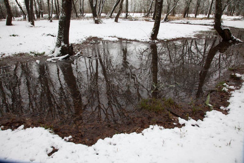 Snow Melt Reflections during the Winter Season Stock Photo - Image of ...